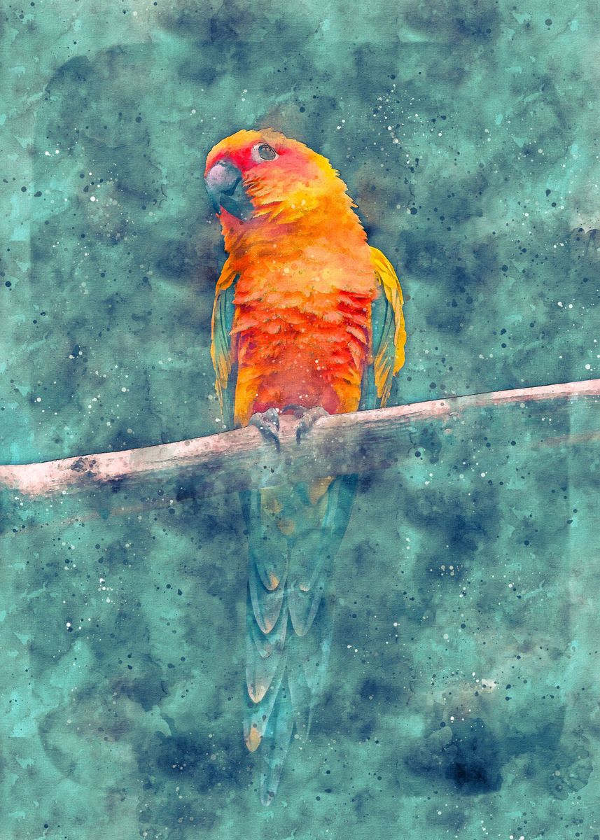 'The Parrot' Poster, picture, metal print, paint by Bulls World | Displate