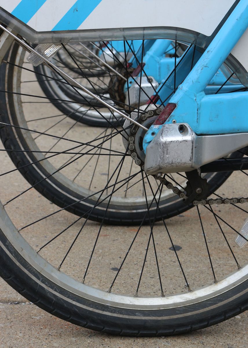 'Bicycle Wheel' Poster, picture, metal print, paint by Diane Powell ...