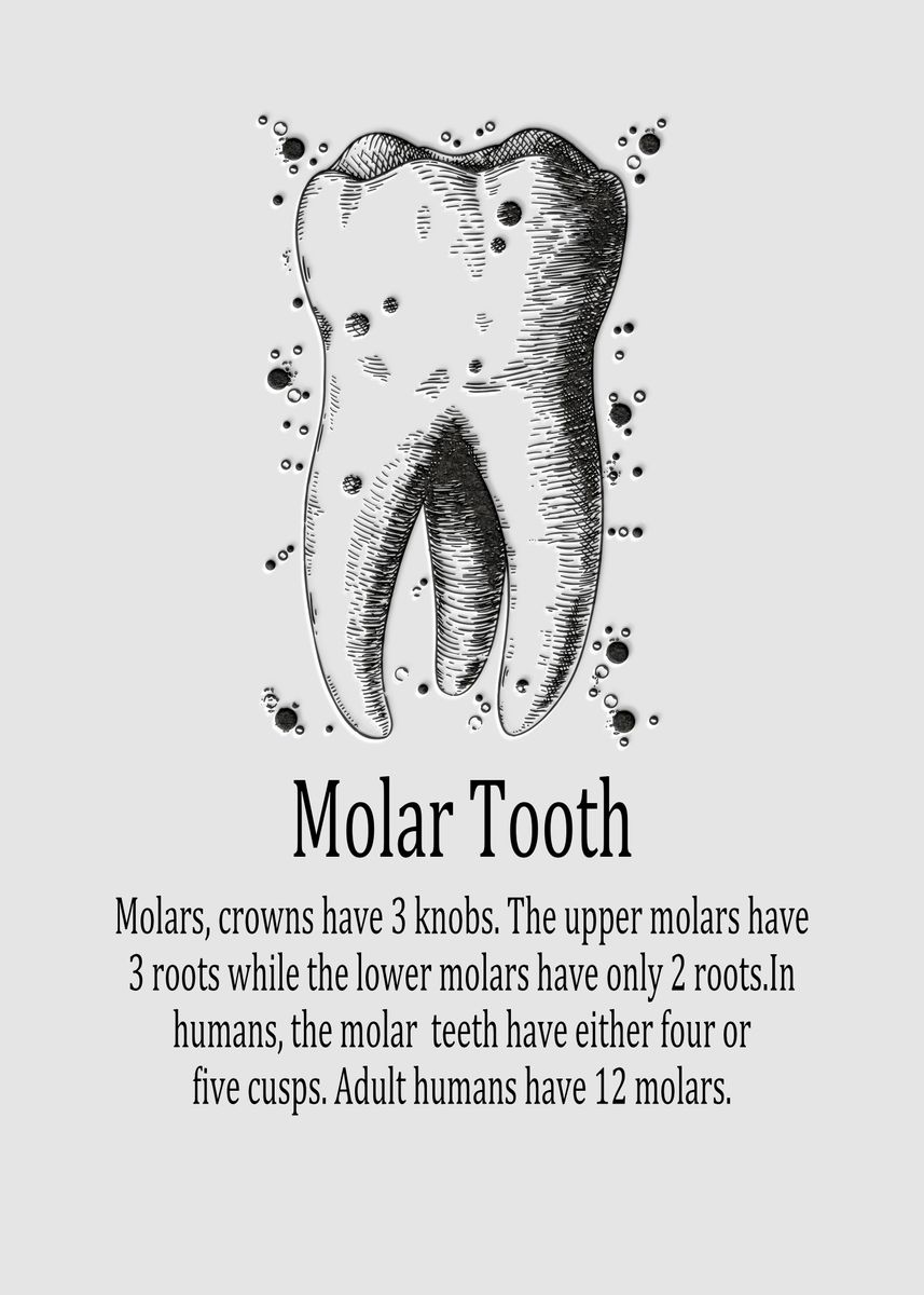 'Molar Tooth' Poster by Clayborne Frank | Displate