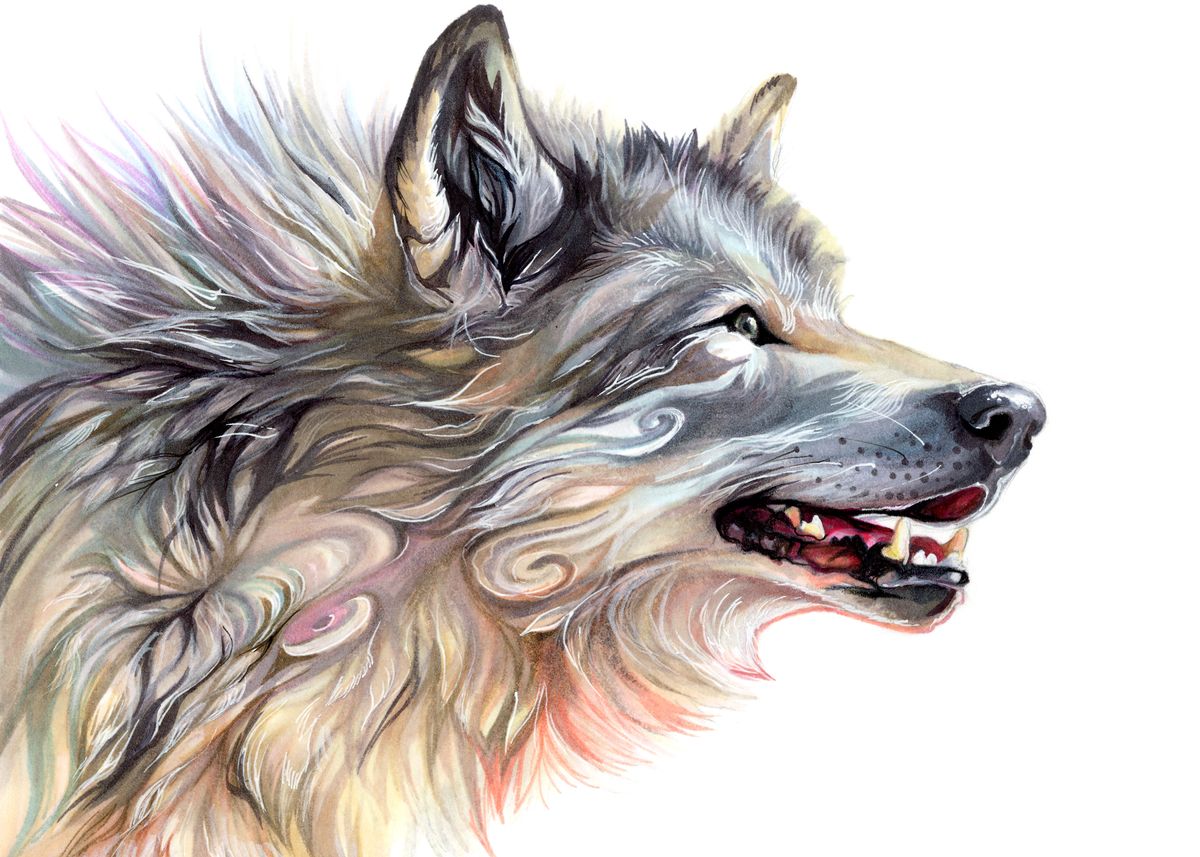 'Wolf of Wonder' Poster by Katy Lipscomb | Displate