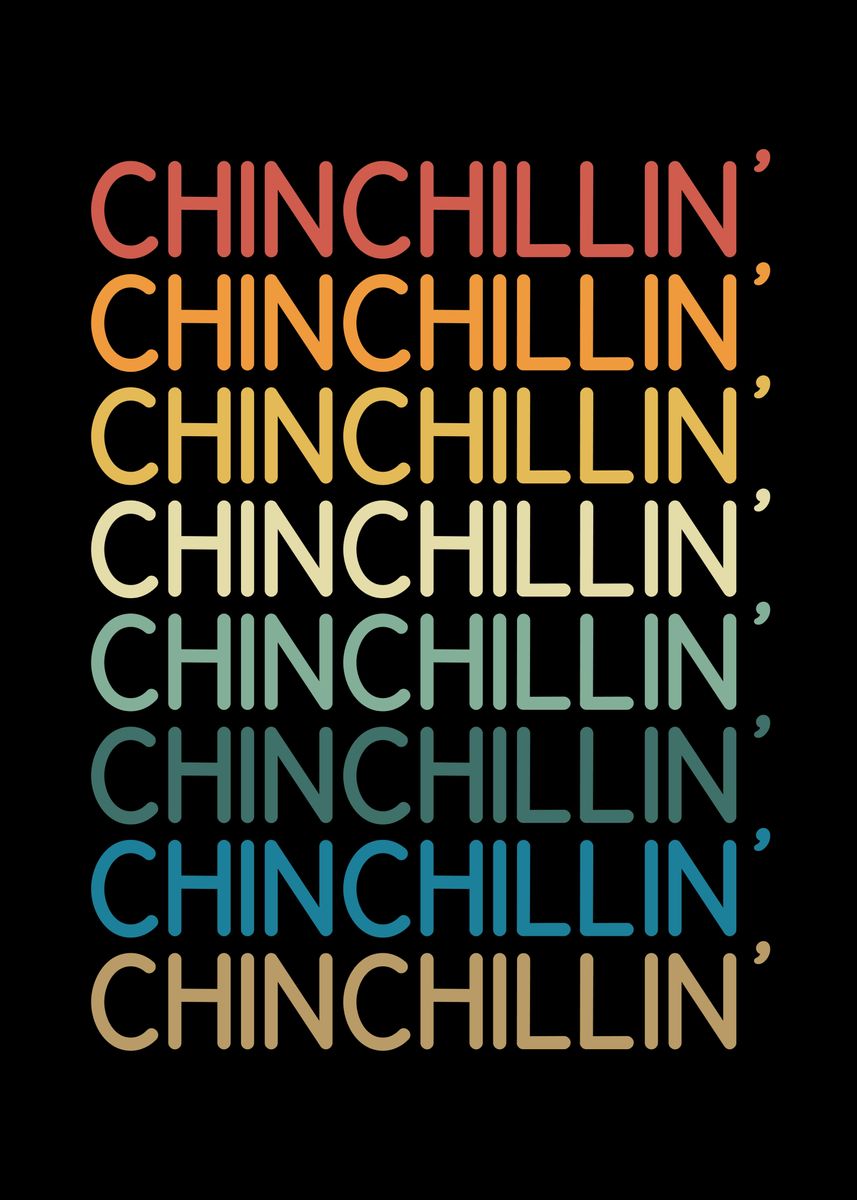 'Chinchillin colourful' Poster by BeMi | Displate