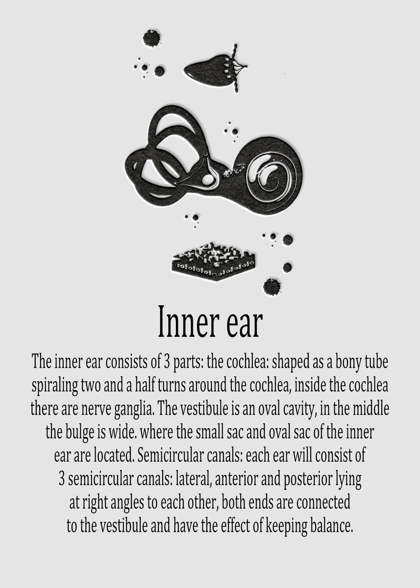 'Inner ear' Poster by Clayborne Frank | Displate