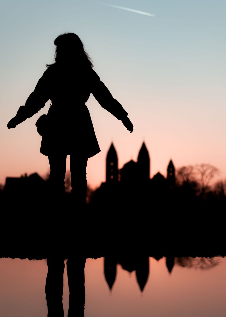 'Silhouette' Poster, picture, metal print, paint by Felix Müller | Displate