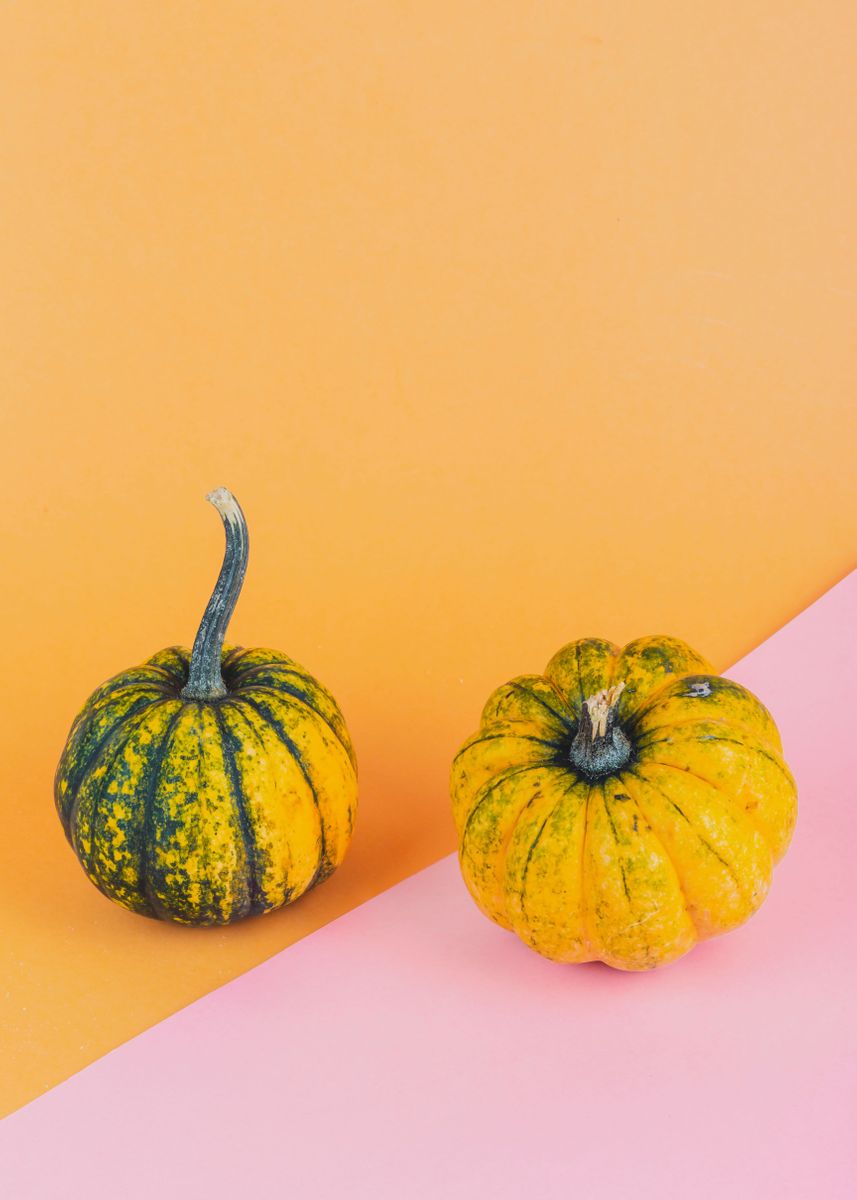 'Pumpkin Presentation' Poster, picture, metal print, paint by Stephen ...