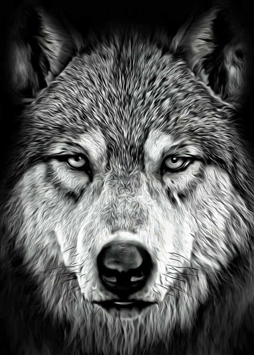 'Cool Wolf Stare' Poster, picture, metal print, paint by Swan Dee ...