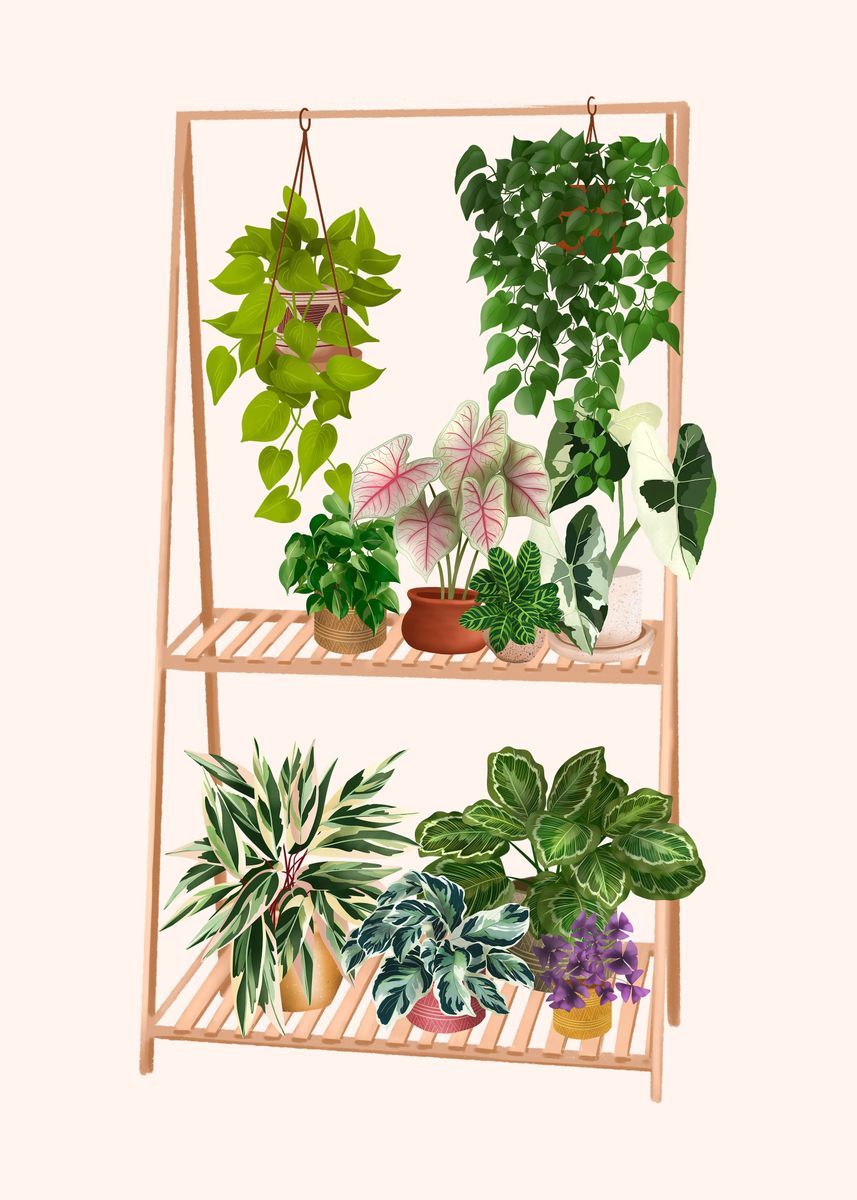 'Plant Shelf 8' Poster by Gush Art Studio | Displate