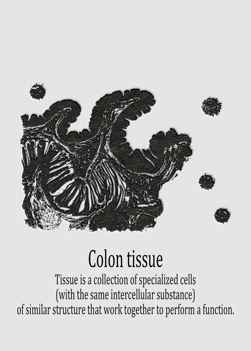 'colonic tissue' Poster by Clayborne Frank | Displate
