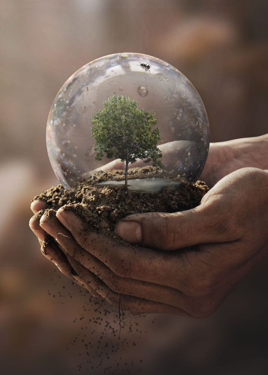 'Delicate' Poster, picture, metal print, paint by Five Senses Art ...