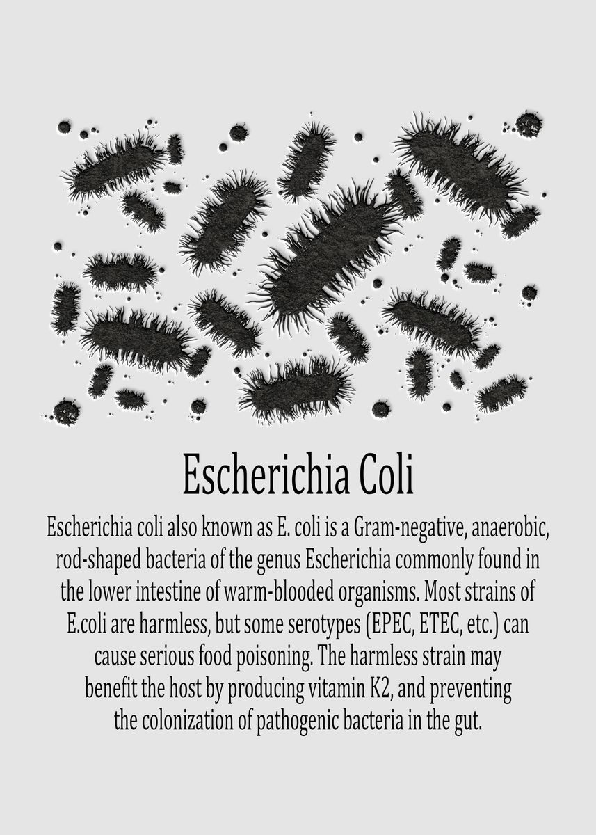 'Escherichia Coli' Poster, picture, metal print, paint by Clayborne ...