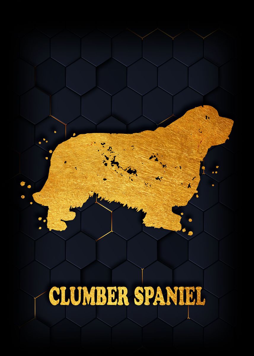 'CLUMBER SPANIEL' Poster, picture, metal print, paint by Denis Siggers ...