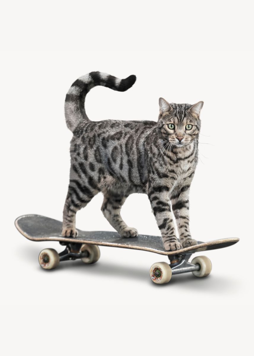 'Skateboarding Cat' Poster, picture, metal print, paint by Creativity ...