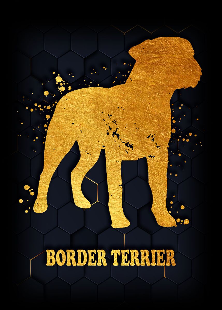 'BORDER TERRIER' Poster by Denis Siggers | Displate