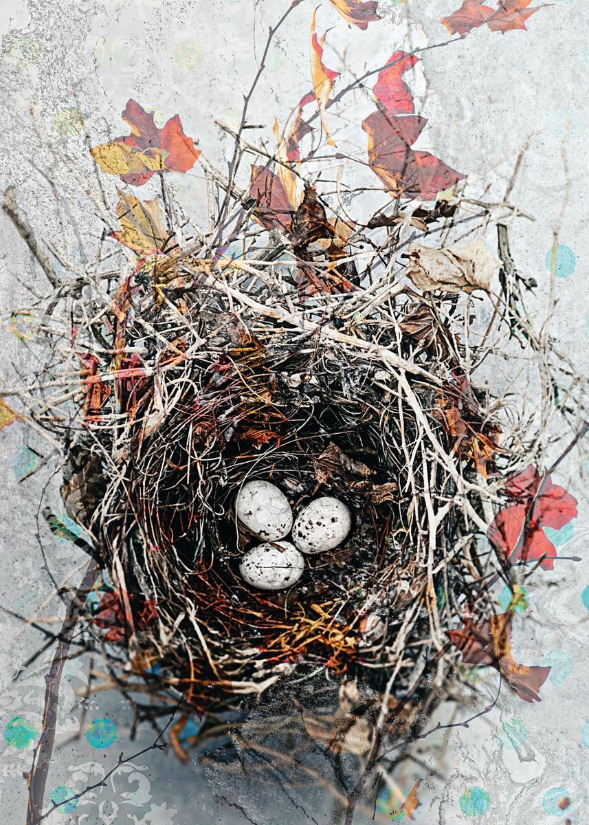 'Bird Nest' Poster, picture, metal print, paint by Elena Ray | Displate