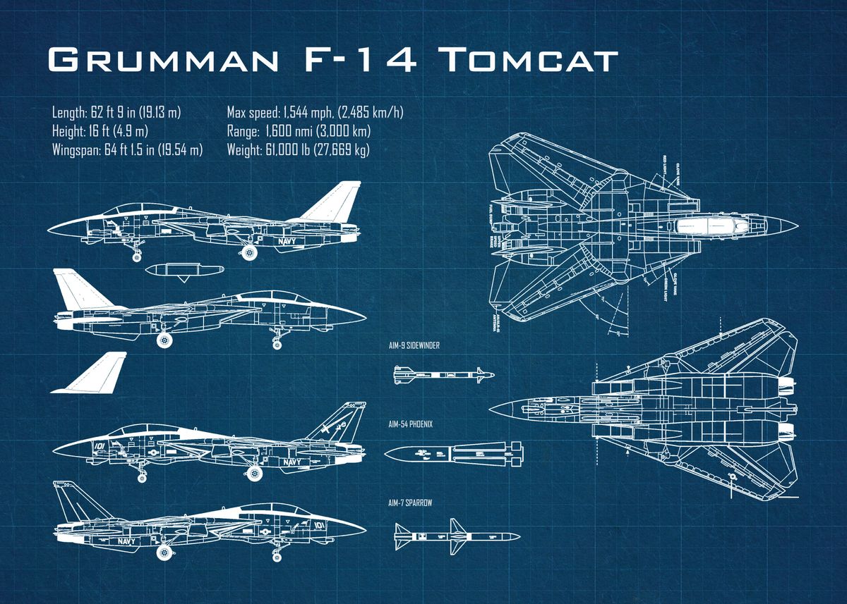 ' F14 Tomcat aircraft' Poster by Flo Rutherford | Displate