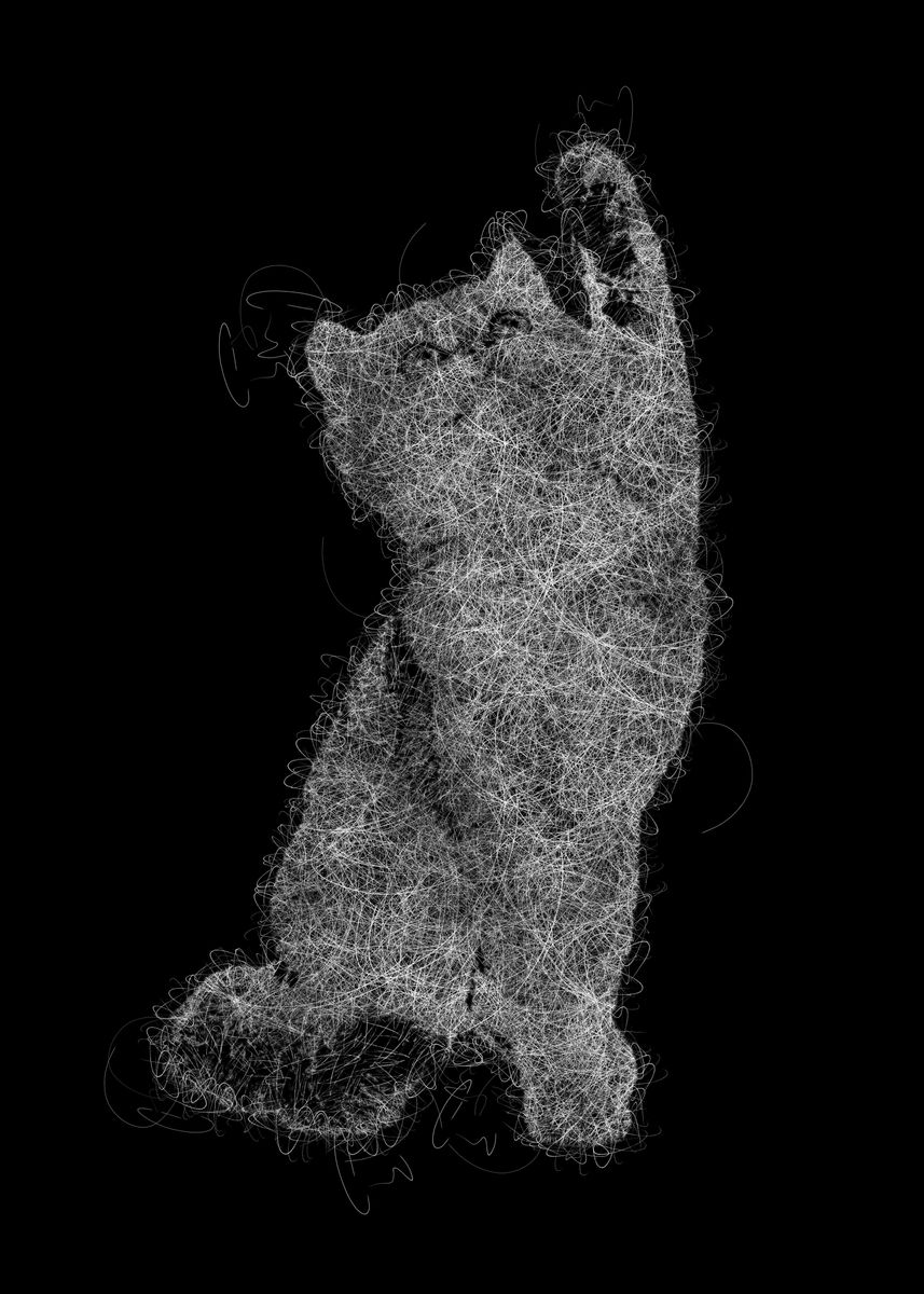 'scribble animal cat' Poster, picture, metal print, paint by Nabila Art ...