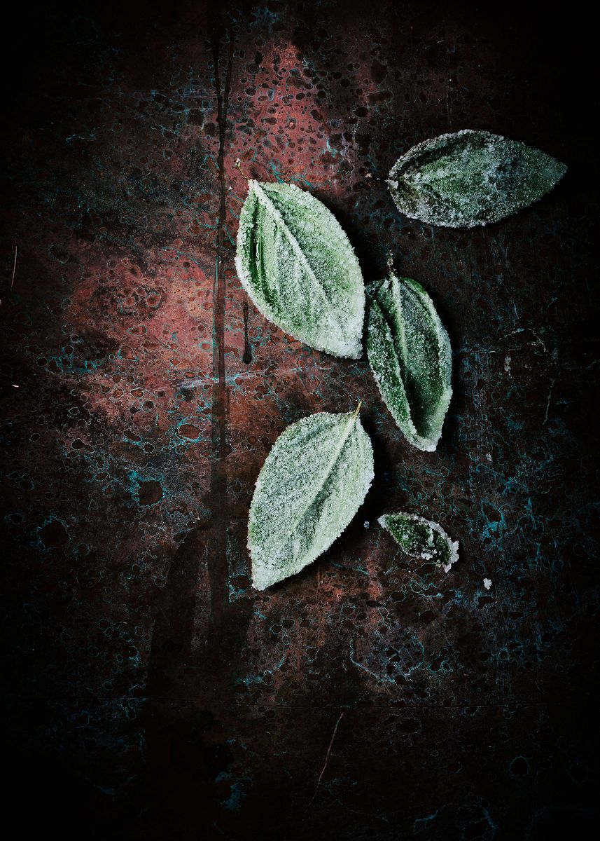 'Crystal mint' Poster, picture, metal print, paint by Nicolas Barret ...