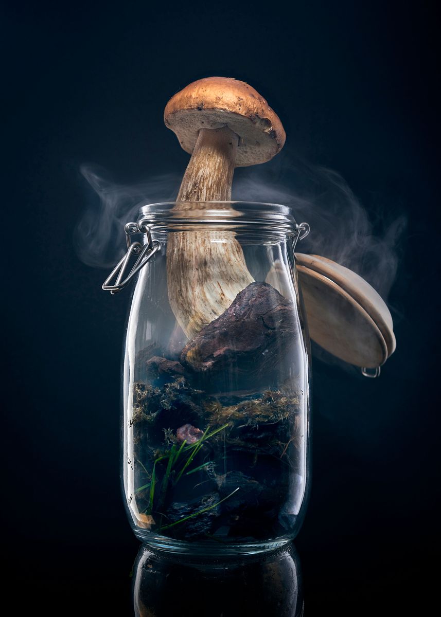 'Life in a jar' Poster by Nicolas Barret | Displate