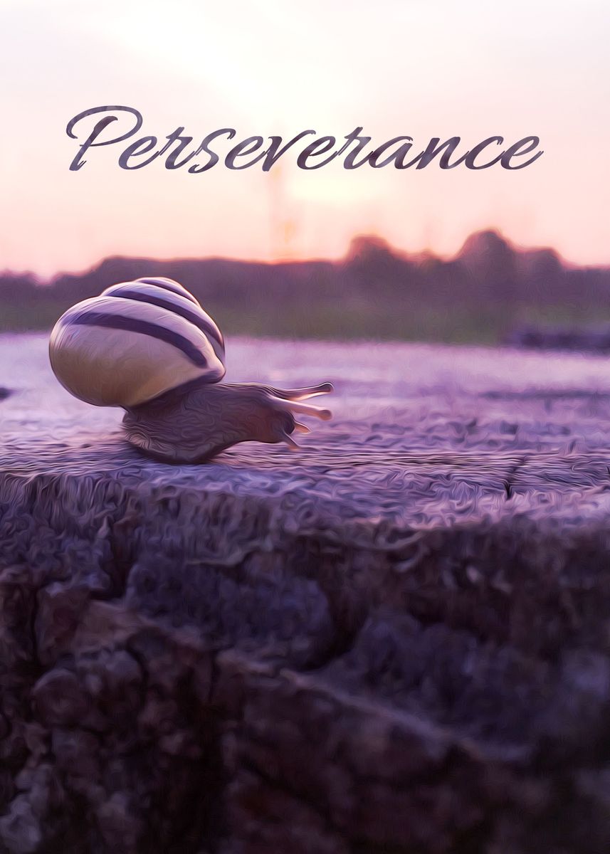 'Snail Perseverance' Poster, picture, metal print, paint by ABConcepts ...