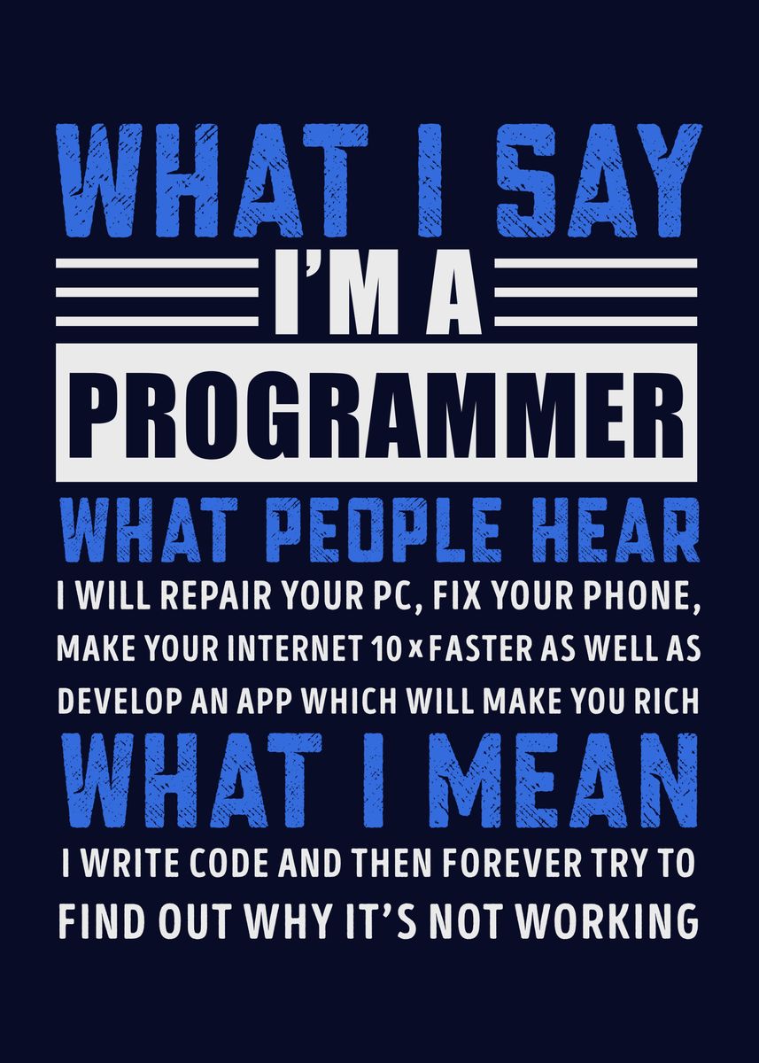 'Im a Programmer Funny' Poster, picture, metal print, paint by Phil ...