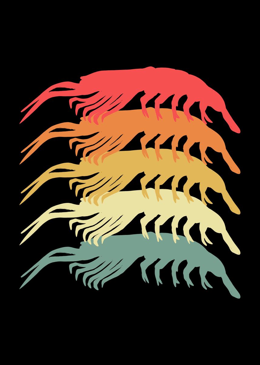 'Colorful Shrimp' Poster by FunnyGifts | Displate