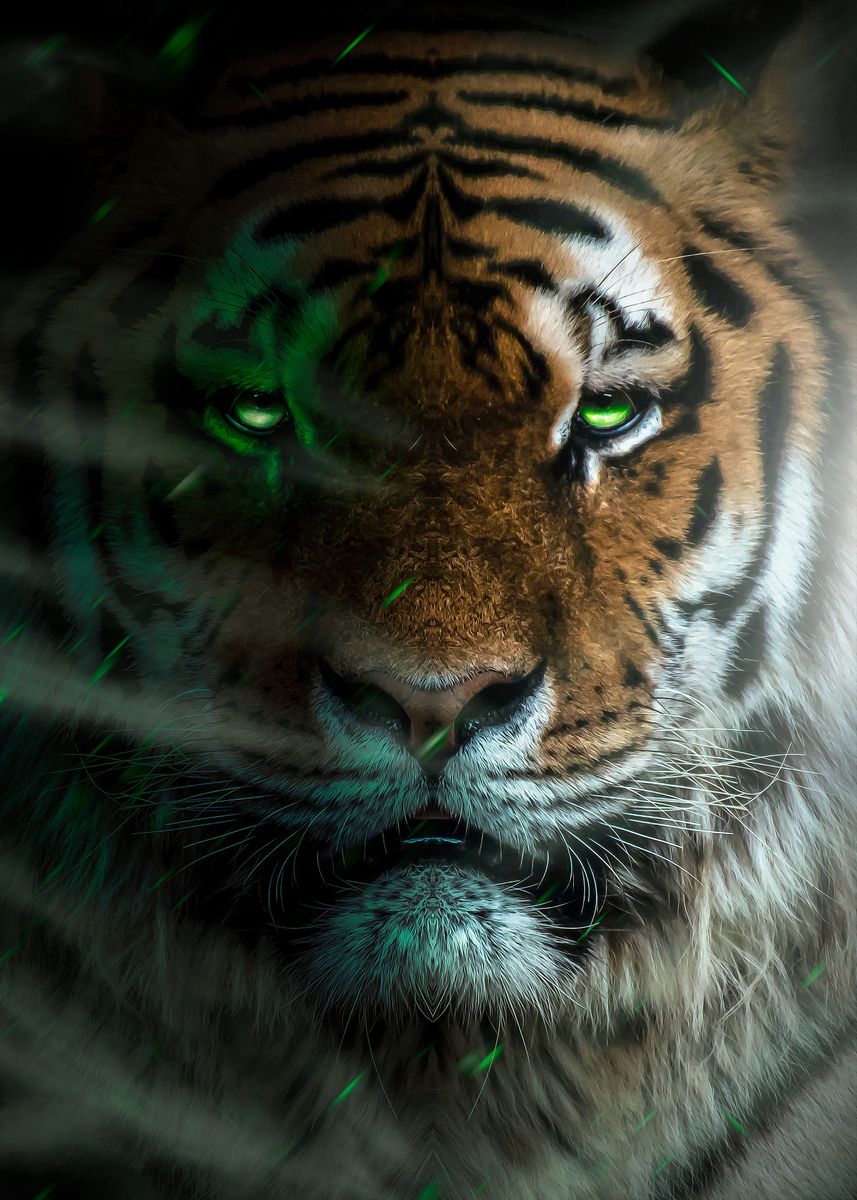 'wild angry tiger poster ' Poster by MK studio | Displate