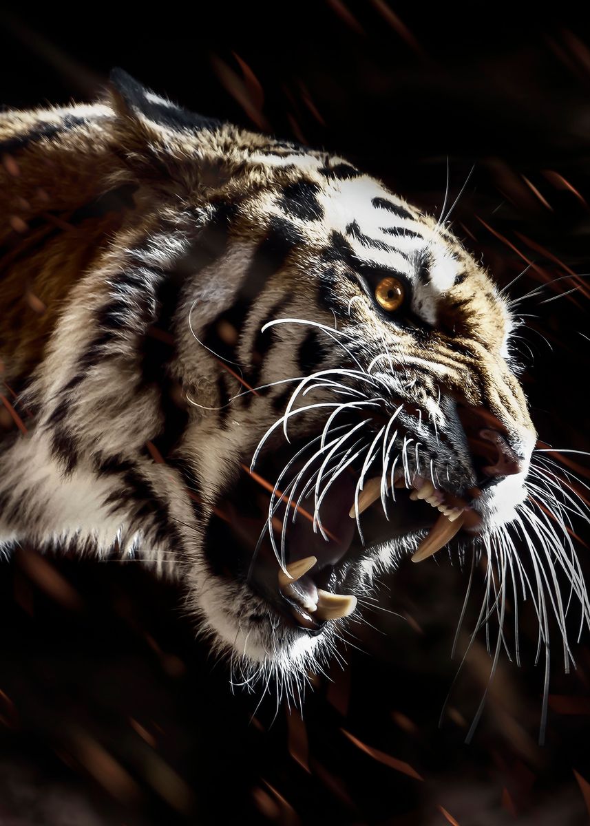Angry Tiger Face Wallpaper