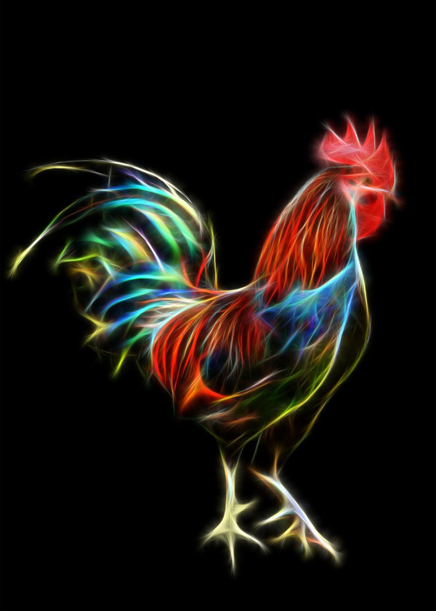 'Colorful Rooster' Poster, picture, metal print, paint by Xeire ...