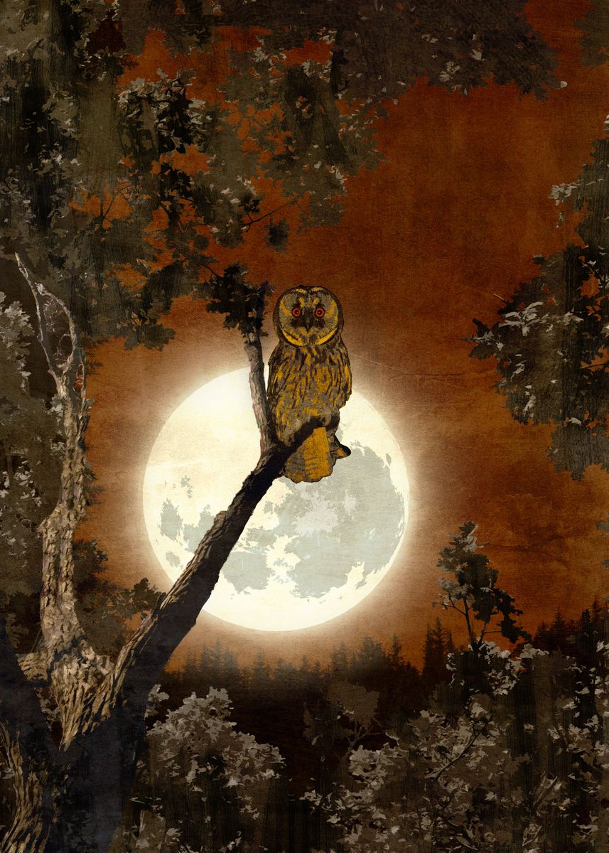 'Lonely Owl' Poster, picture, metal print, paint by Ferit Kurt | Displate