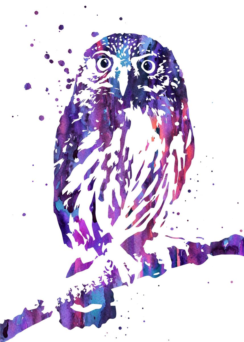'Owl ' Poster, picture, metal print, paint by RosaliasArt | Displate