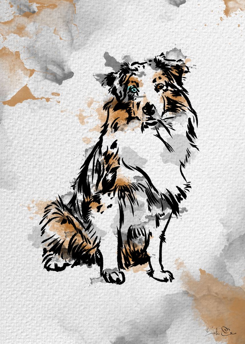 'Australian shepherd dog' Poster, picture, metal print, paint by ...