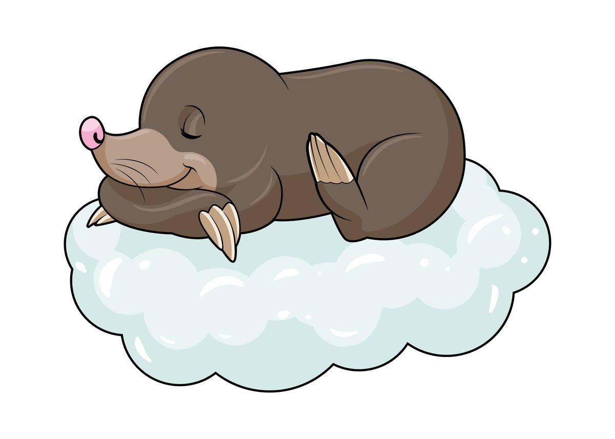 'Mole Sleeping Clouds' Poster by Markus Schnabel | Displate