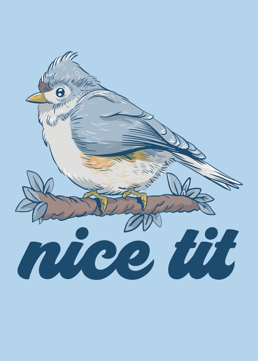 'Nice tit funny bird Lover' Poster, picture, metal print, paint by Phil ...