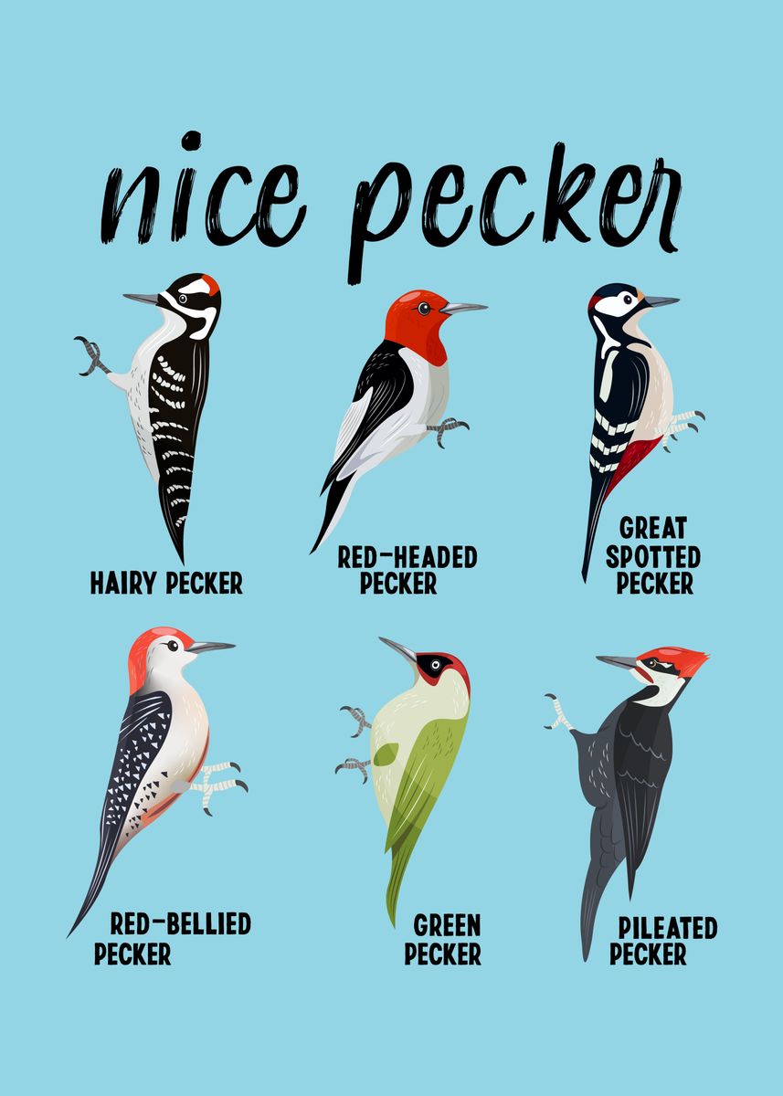 'Nice Pecker Funny bird' Poster by Philip Anders | Displate