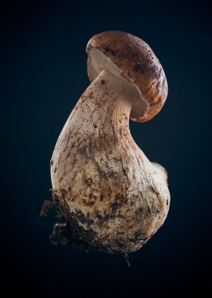 'Bollet' Poster by Nicolas Barret | Displate