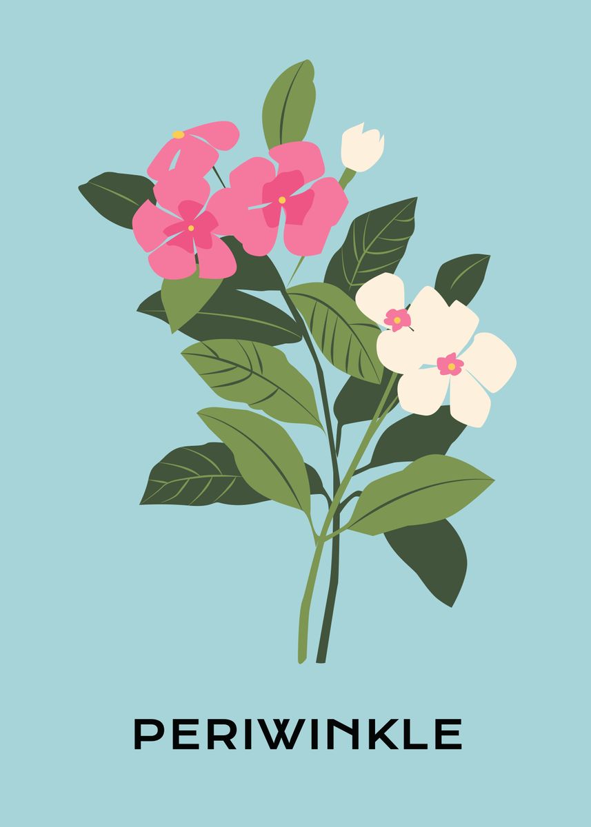 'Tropical Periwinkle flower' Poster, picture, metal print, paint by ...