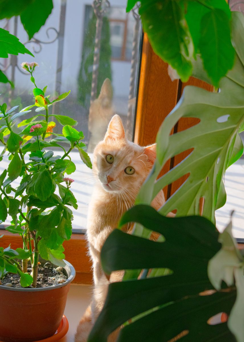 'Kramer Vibing' Poster, picture, metal print, paint by Denis Stefan ...