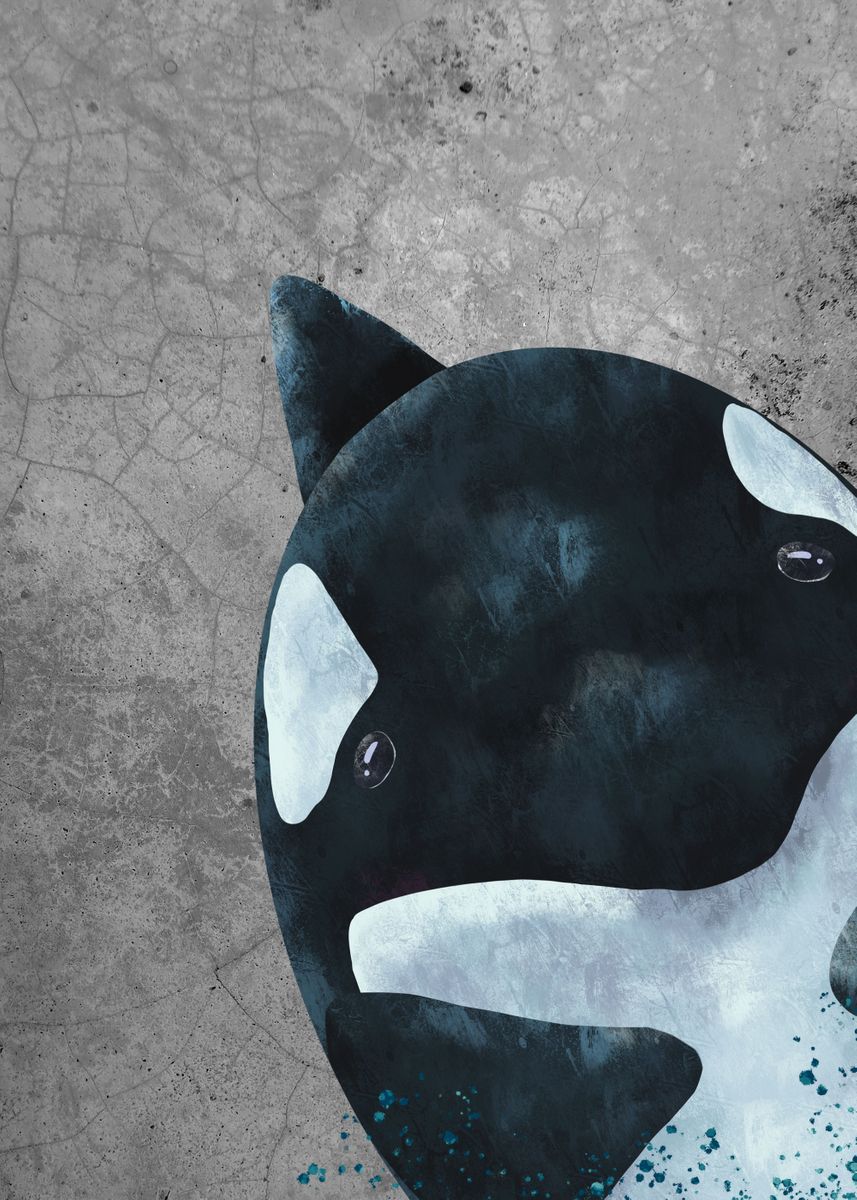 'Funny Sneaky Orca' Poster, picture, metal print, paint by XandYart ...