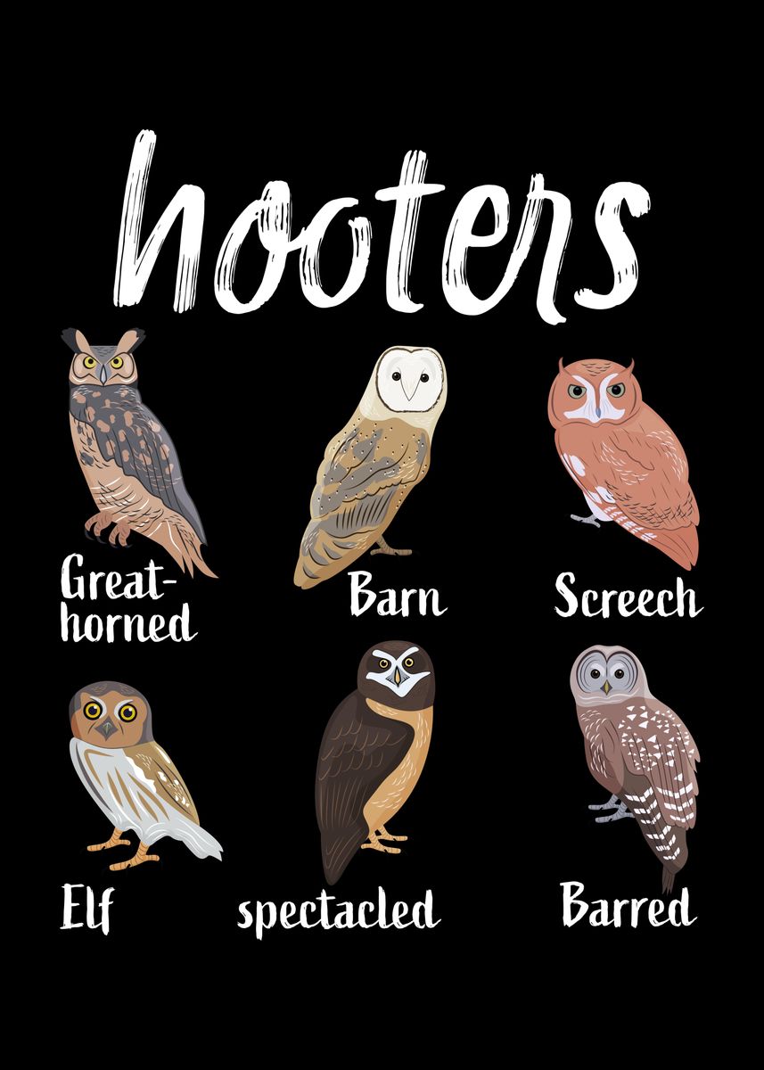 'Owl Birds Funny Hooters' Poster, picture, metal print, paint by Phil ...