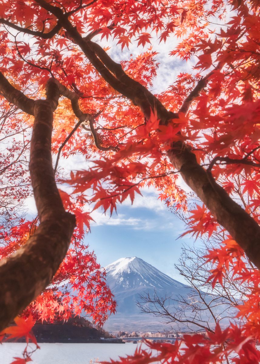 'Fuji in the autumn leaves' Poster, picture, metal print, paint by ...