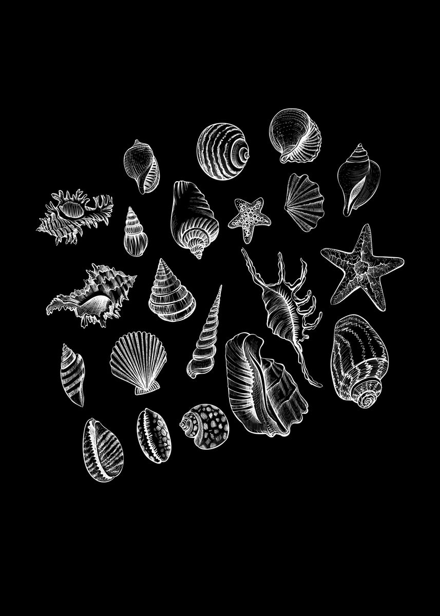 'Shell Summer Sea Vacation' Poster, picture, metal print, paint by ...