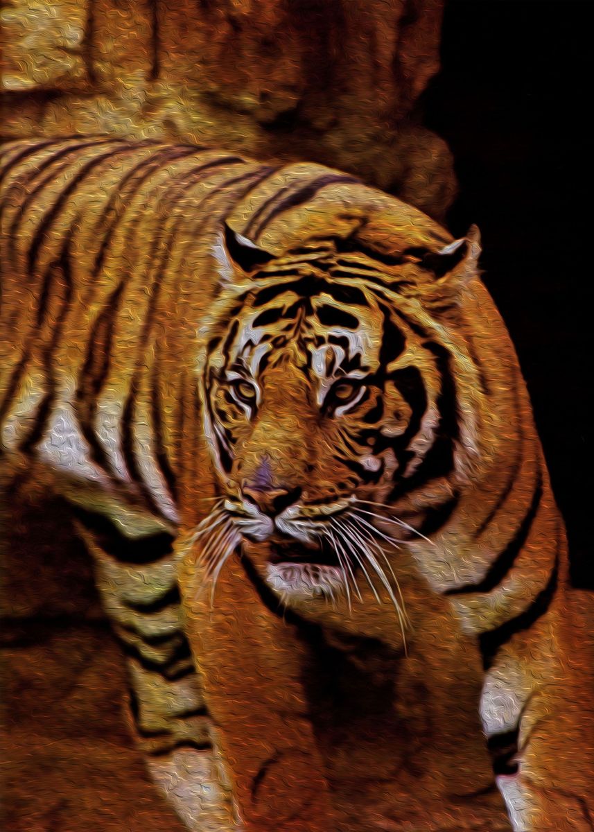 'Pretty Tiger' Poster, picture, metal print, paint by arkitekta | Displate