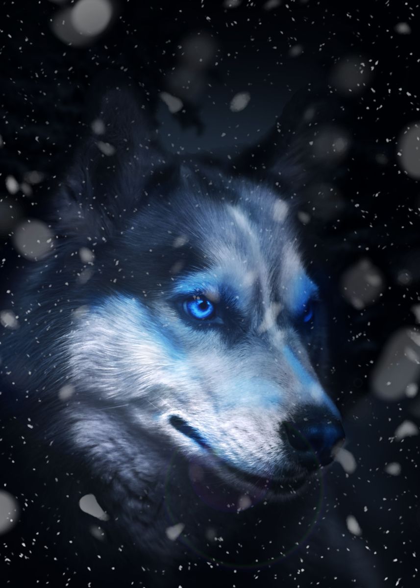 'Blue Eye Snow Wolf' Poster, picture, metal print, paint by INSPIRE ...