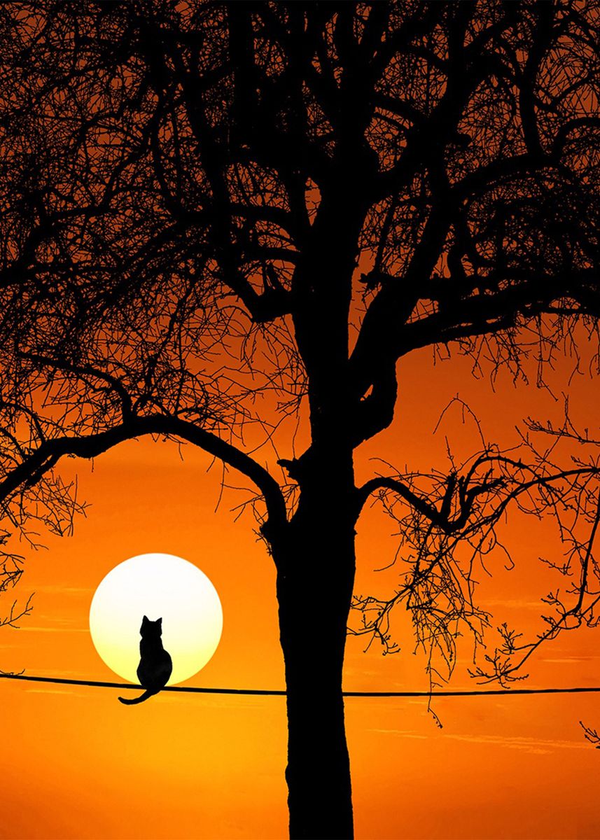 'tree and cat vertical' Poster, picture, metal print, paint by Travel ...