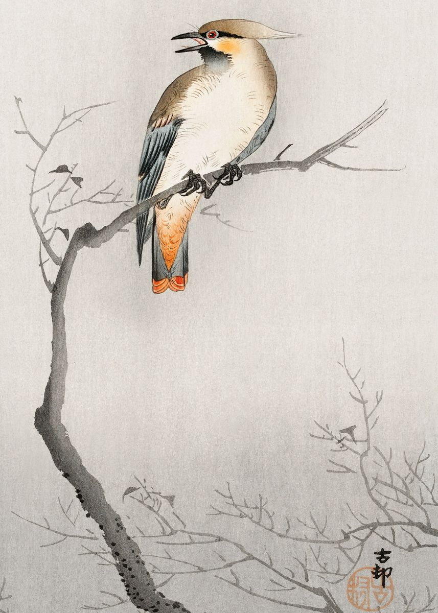 'Japanese starling bird' Poster, picture, metal print, paint by Nguyen ...