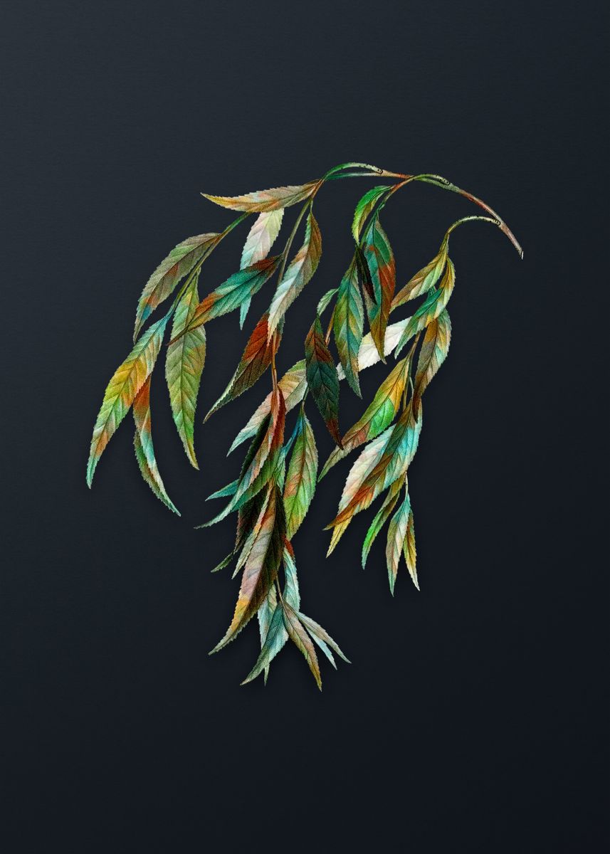 'Vintage Babylon Willow' Poster by Holy Rock Design | Displate