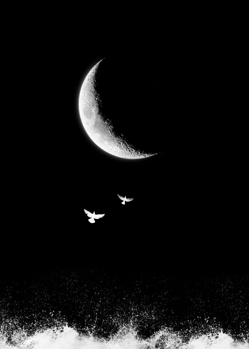 'moon night' Poster, picture, metal print, paint by Nice Japan | Displate