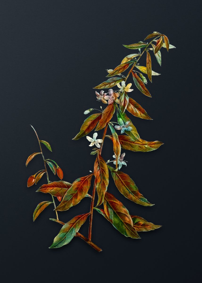 'Vintage Goji Berry Tree' Poster, picture, metal print, paint by Holy ...