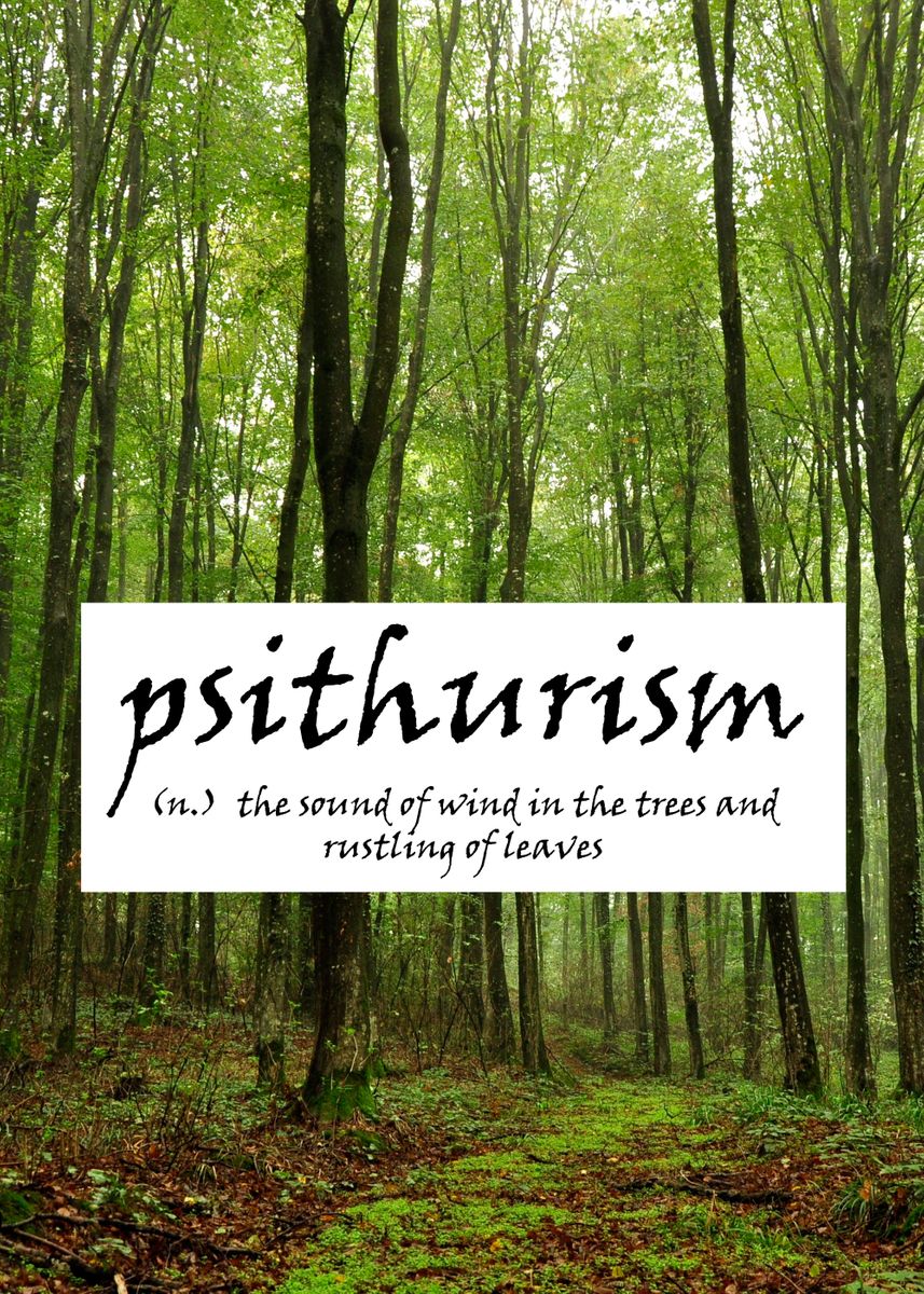 'Psithurism Definition' Poster, picture, metal print, paint by Psyl0 ...