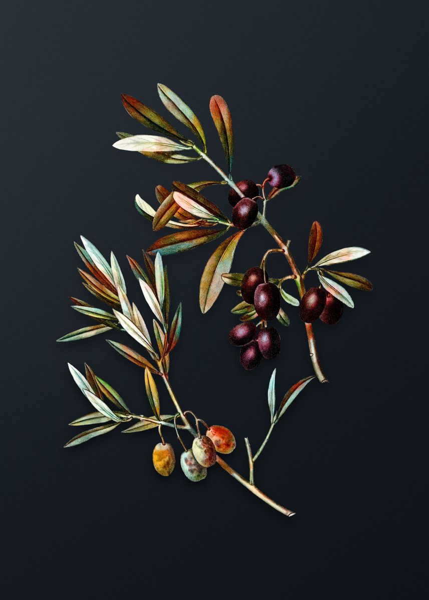 'Vintage Olive Flower' Poster, picture, metal print, paint by Holy Rock ...
