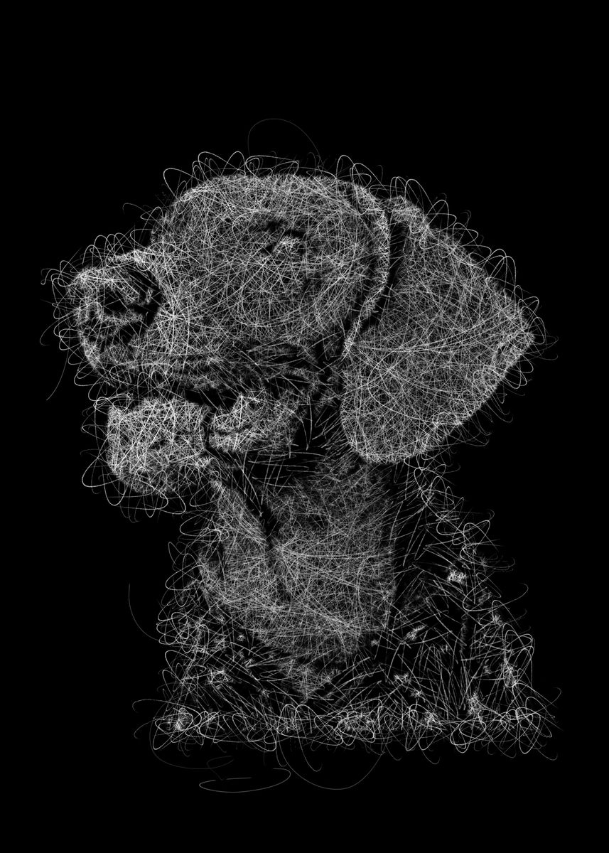 'scribble art dog' Poster, picture, metal print, paint by Nabila Art ...